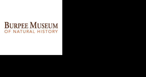 ACCAD's Work with the Burpee Museum of Natural History Wins AAM Award ...